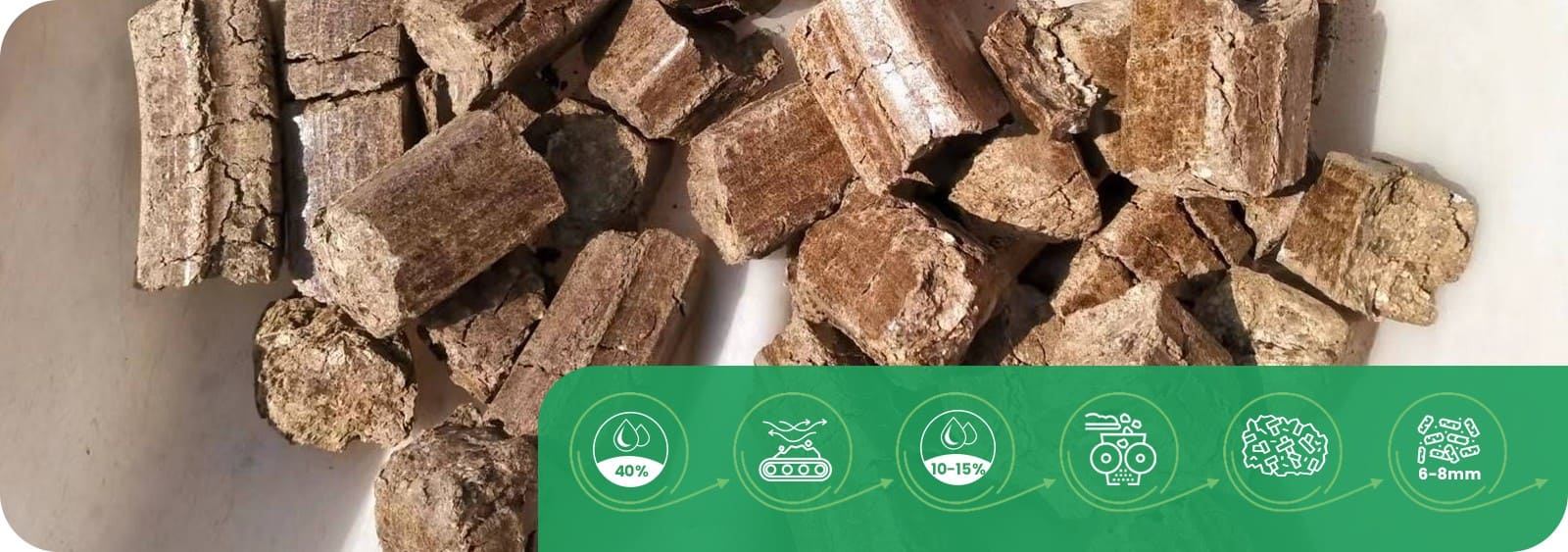 Biomass Gasification For Boiler System