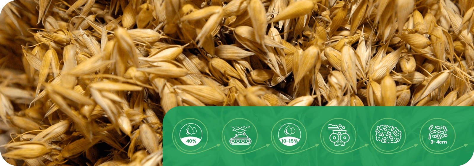 Biochar Production Equipment Manufacturer | Haiqi Biomass Pyrolysis ...