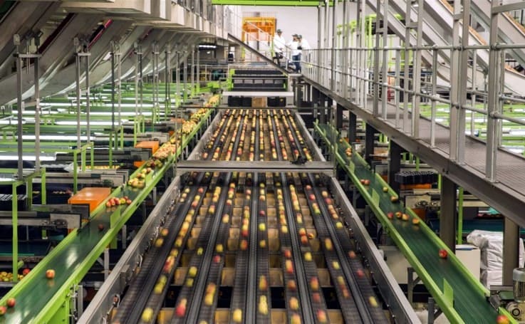 Biomass Gasification For Boiler System