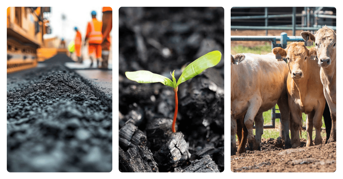 Differences between Biochar and Biocoal