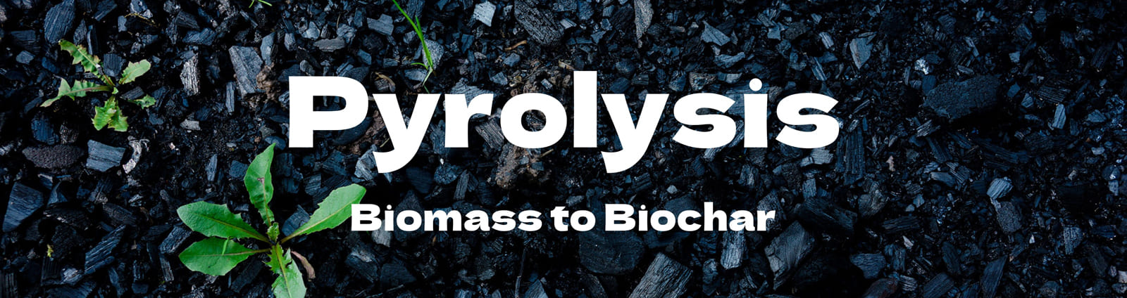 Biomass Pyrolysis Products