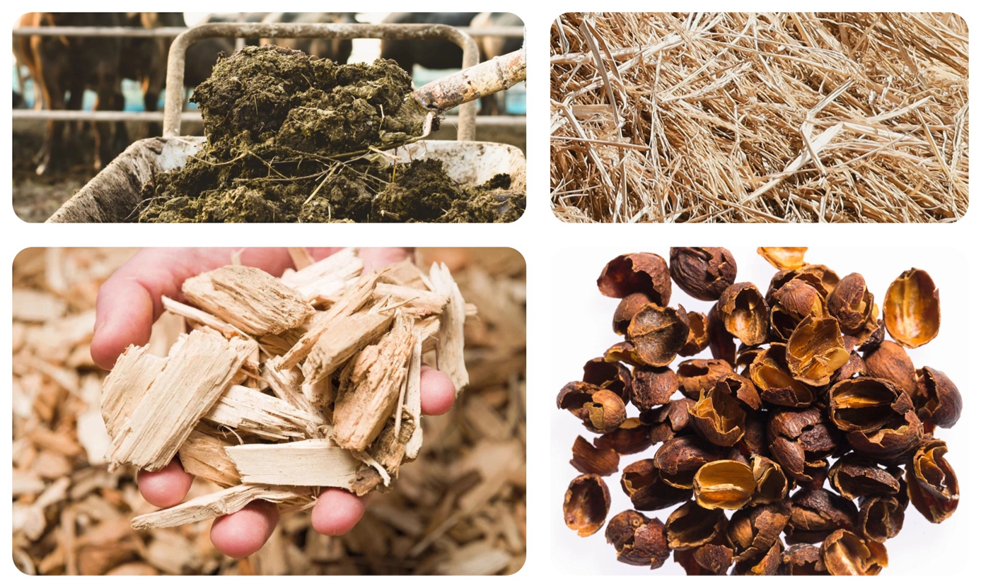 Is Biochar Sustainable?