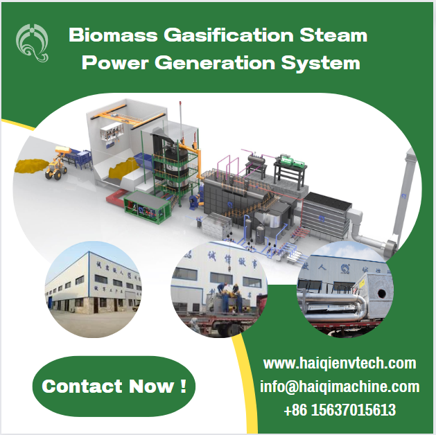 Biomass Power Generation Plant